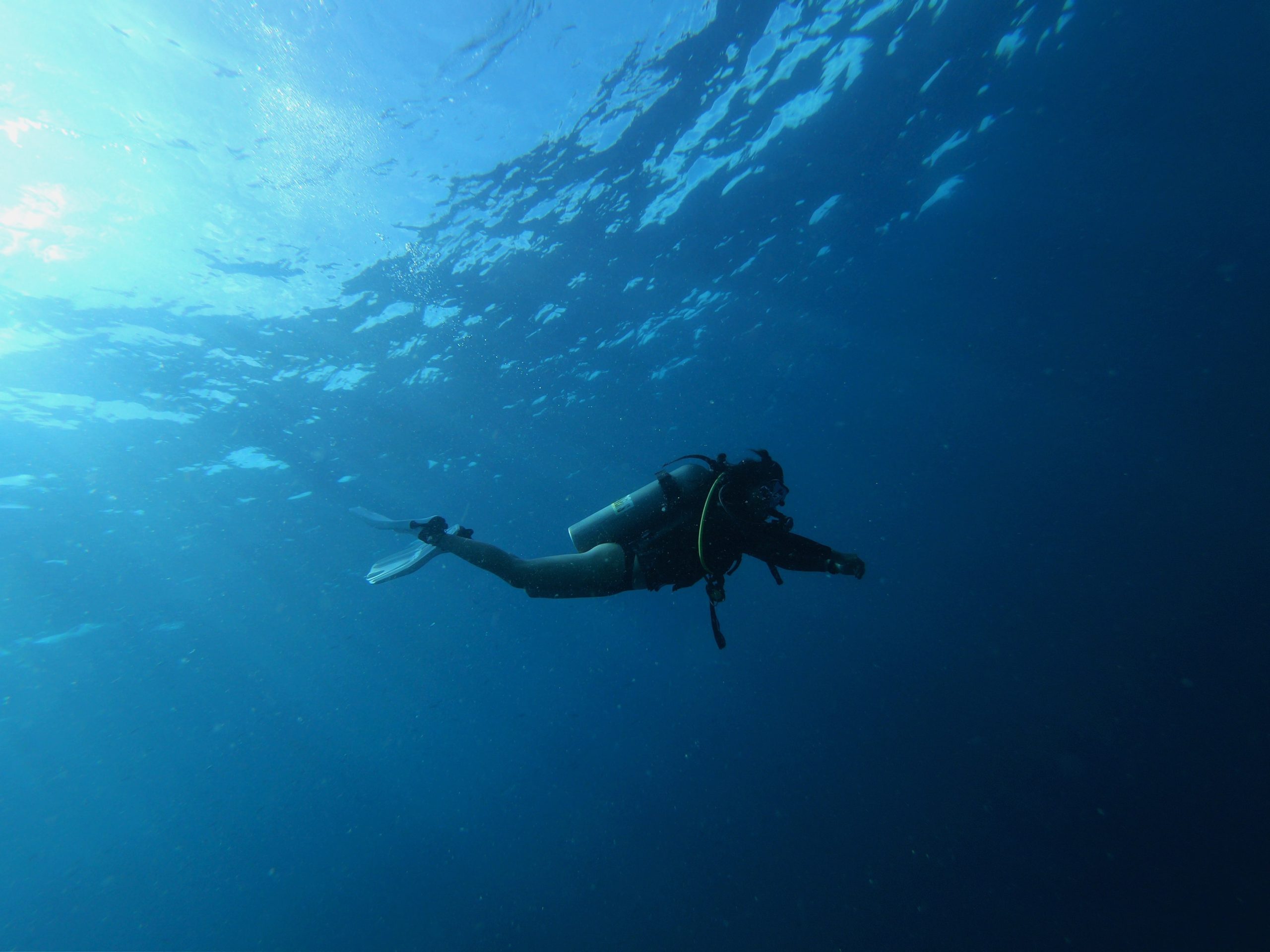 Top Tips for Effective Diver Tracking - Applied Acoustics