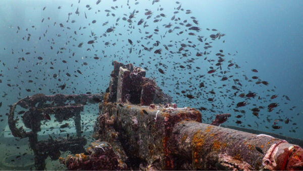 What are UXO surveys? Marine Glossary - Applied Acoustics